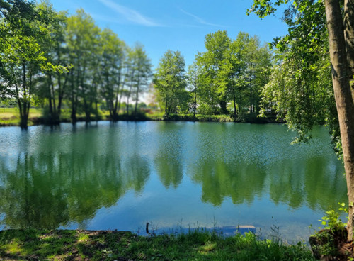 Etang Carp'Addict - Passion Carpe